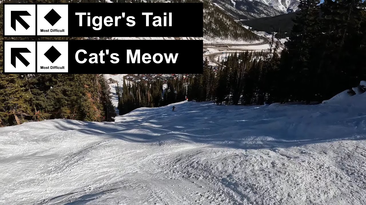 Loveland, CO - Tiger's Tail to Cat's Meow (3-1-24) [4K] - YouTube