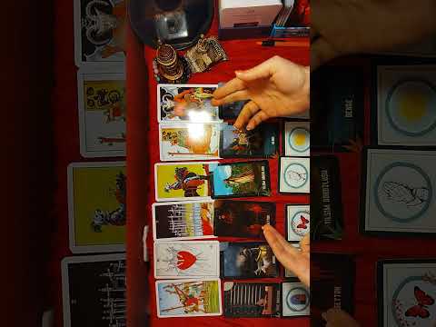 🌞🍀👩‍❤️‍💋‍👨AKLIMDAKİ KİŞİ AN İTİBARİYLE NASILSIN ATMAK İSTEDİĞİN ADIMLAR NELER ANLAT BİZE😈👩‍❤️‍💋‍👩🦂