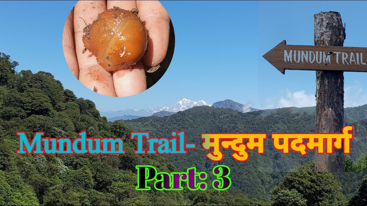 Beautiful place with beautiful nature Mundum Trail || part 3 || A part ...