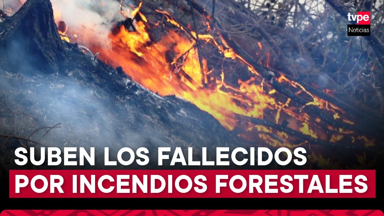 Incendios forestales en Perú: hasta el momento se reportan 15 ...
