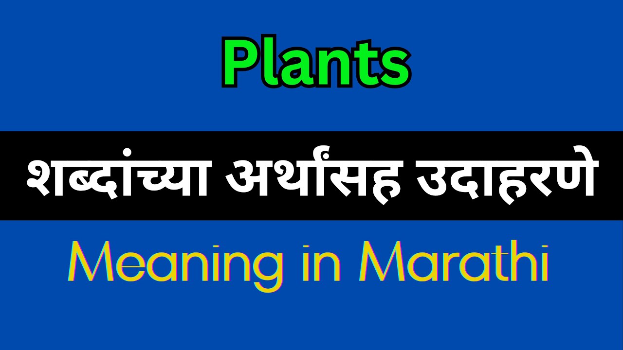 Plants Meaning In Marathi / Plants explained in Marathi - YouTube