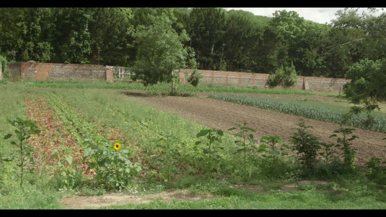 Animal-free Farming | Living With The Land | Part 6 - YouTube