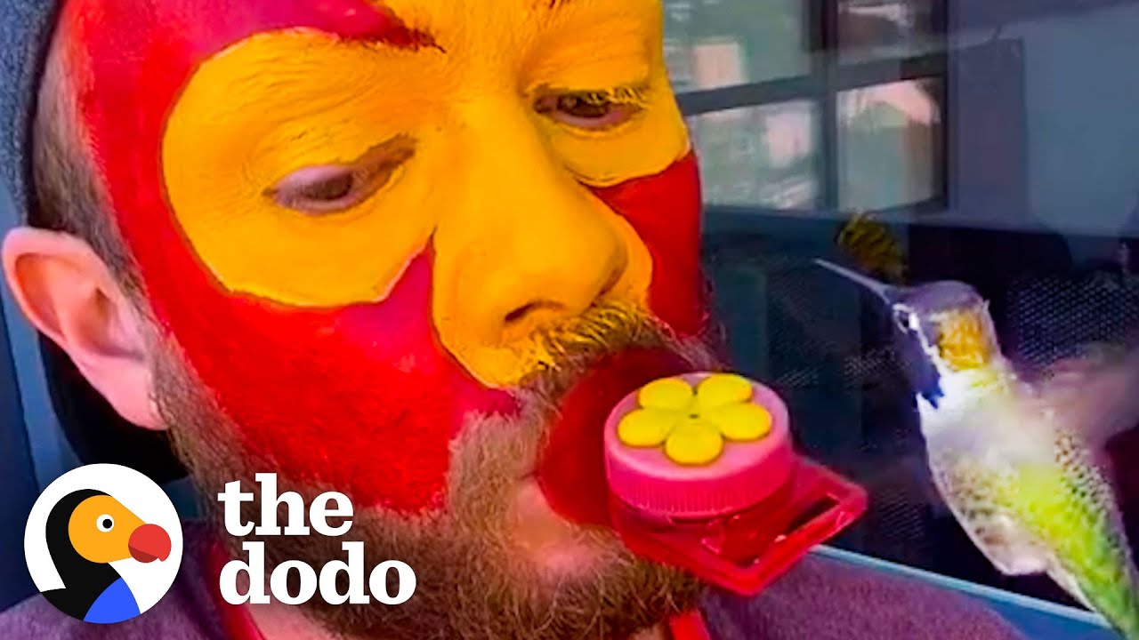 Hummingbird Turns Guy Into Bro-White | The Dodo Wild Hearts - YouTube