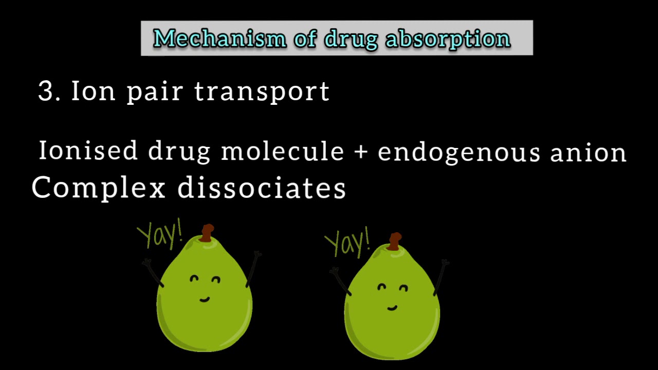 Mechanisms of drug absorption. Transcellular, paracellular and ...