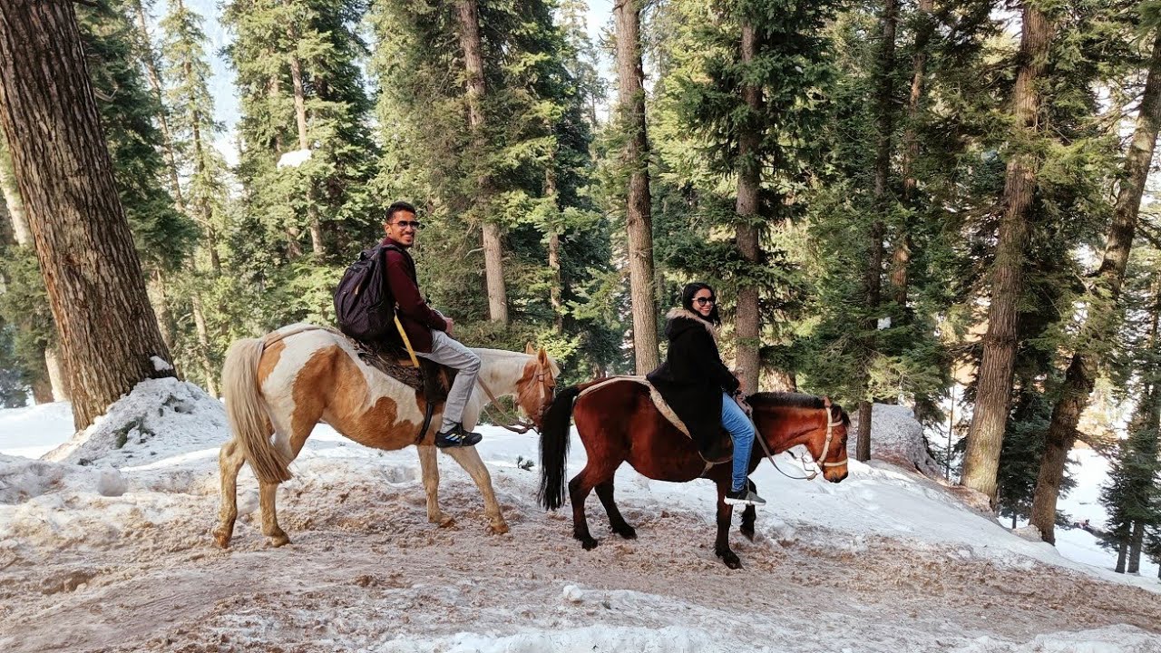 Pahalgam|| Horse Riding||Bisaran Valley||Betab Valley||Kashmir Vlog ...