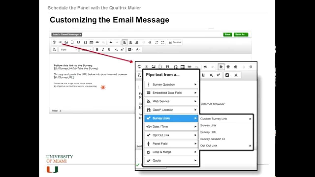Creating and Using Panels in Qualtrics - YouTube