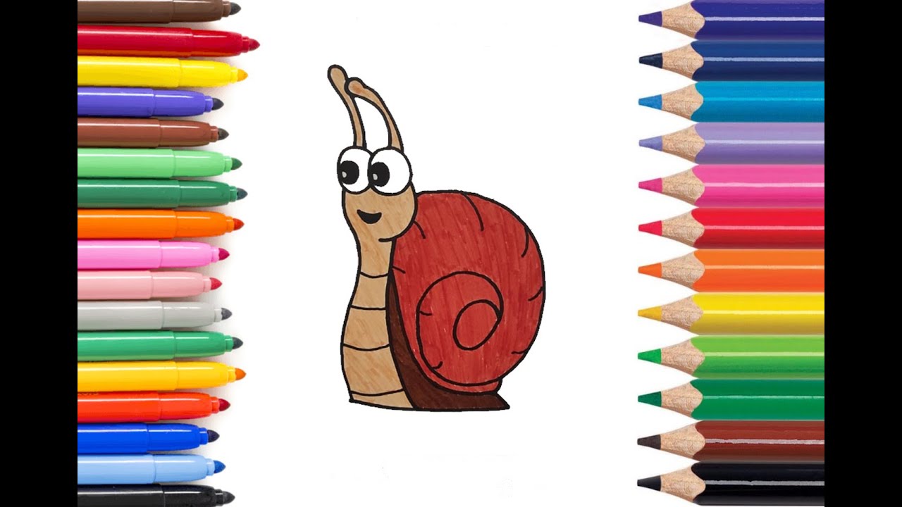 Comment dessiner un escargot/How to draw a snail - YouTube