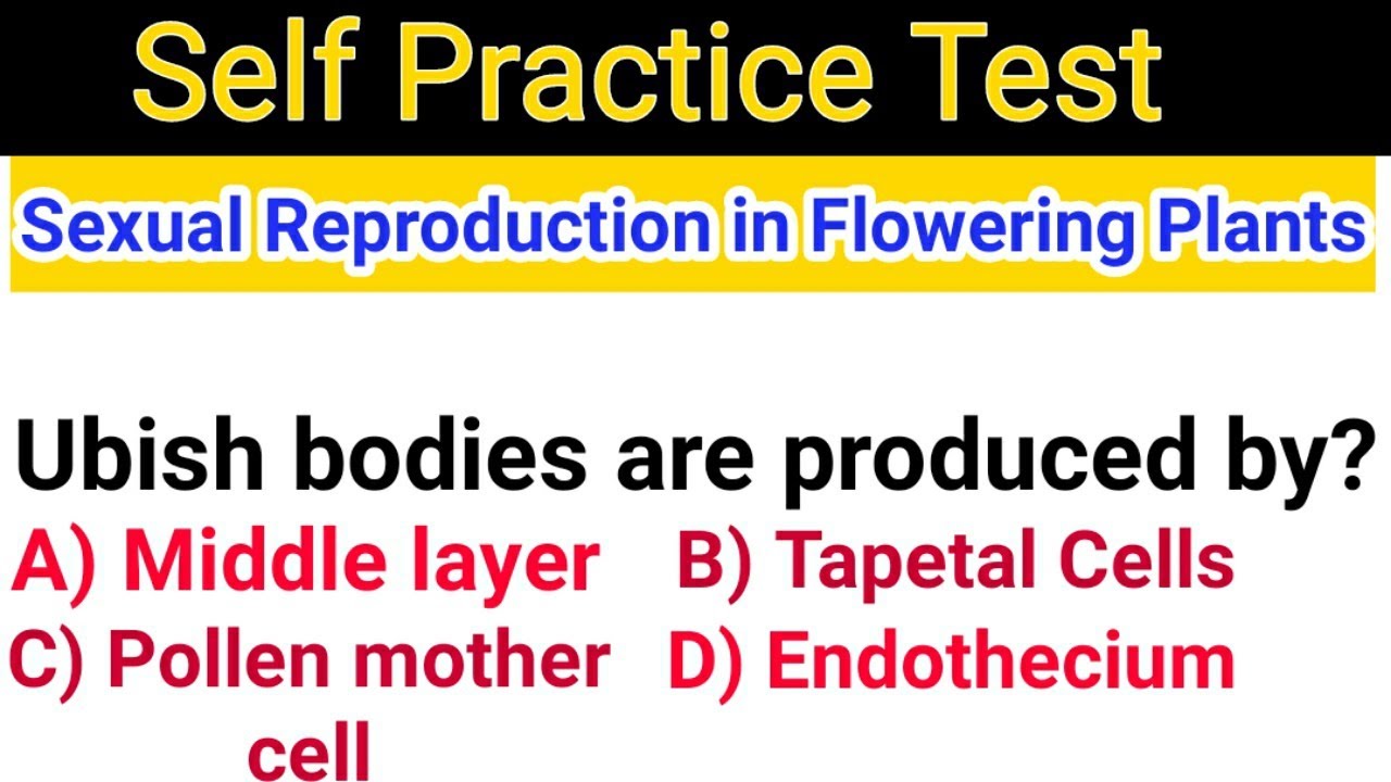 Sexual reproduction in flowering plants || Self Practice Test ...