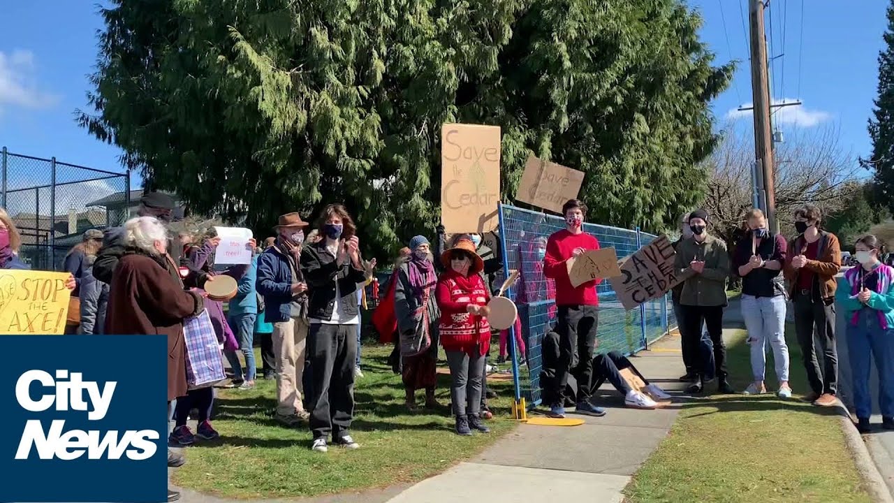 Protestors hoping to save neighbourhood tree - YouTube