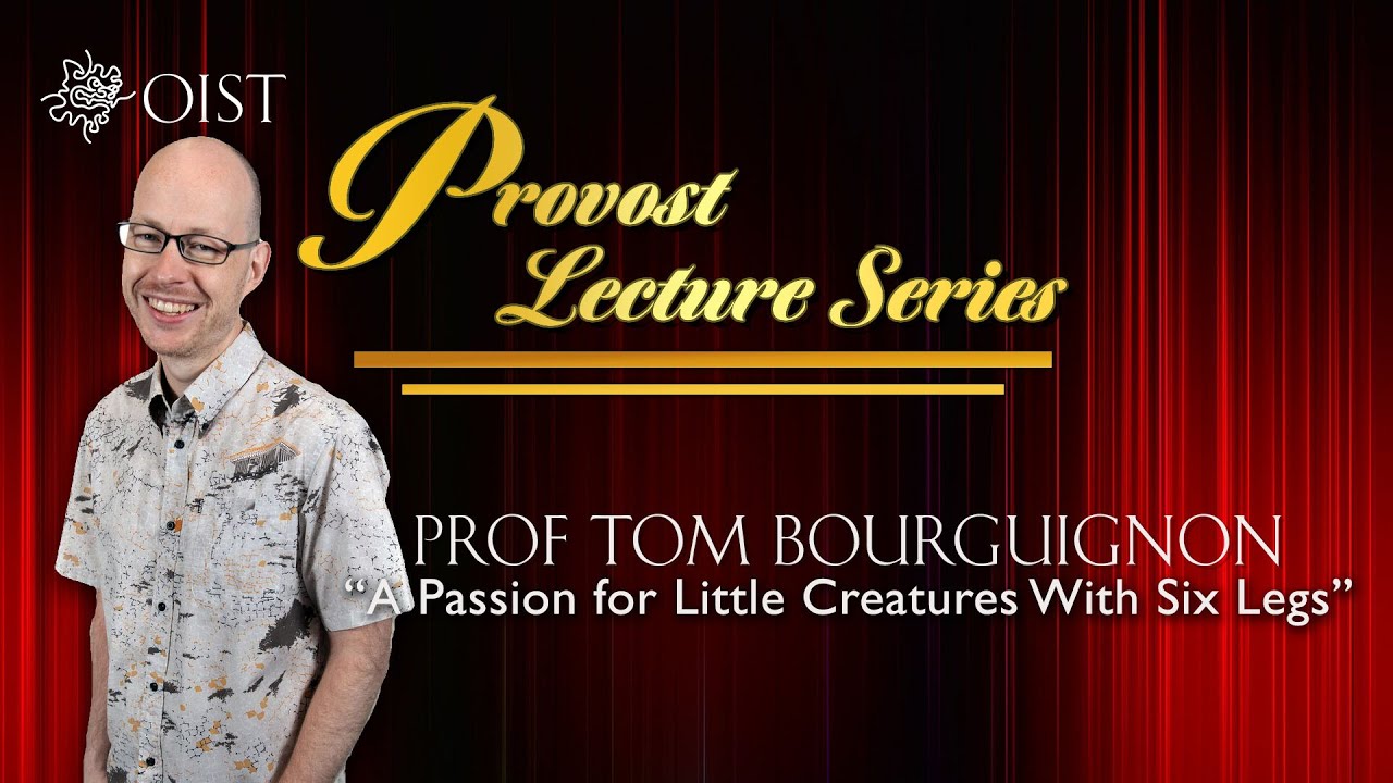 Provost Lecture Series: Tom Bourguignon - YouTube