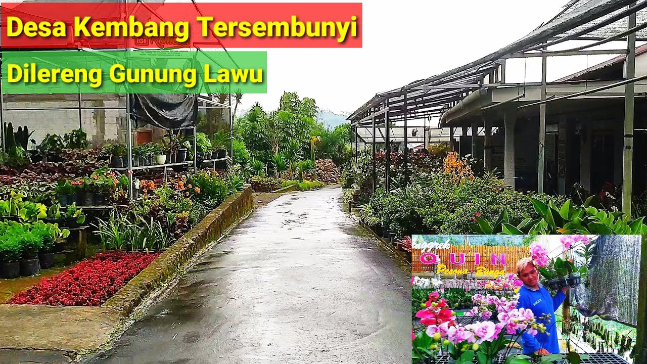 Suasana Keindahan Alam Desa 1000 Bunga, Tersembunyi Dilereng Gunung ...