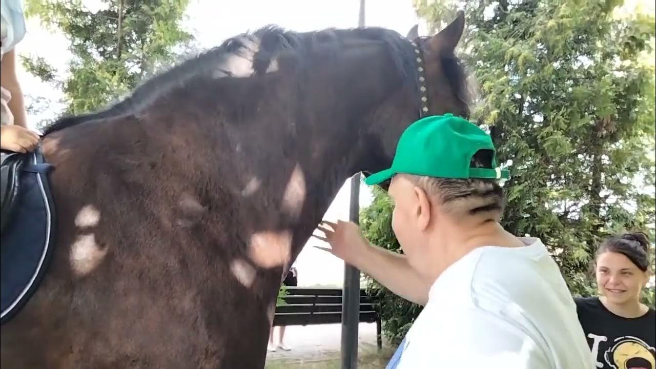 Pokazuje wam spanialym wanom #kononowicz #major #suchodolski #szkolna17 #us17 #knur - YouTube