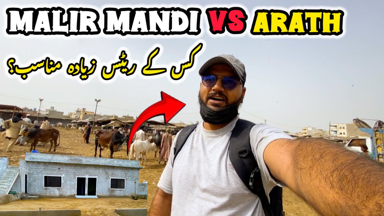 MALIR MANDI SAY DIRECT FARM Q JANA PERA MALIR MANDI 2025 | DUSRA GHAR ...