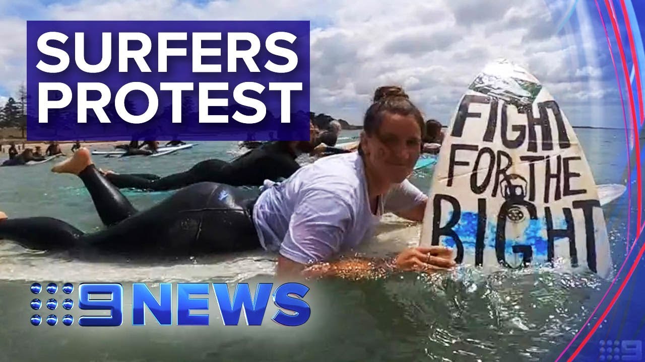 Activists rally to protect The Great Australian Bite | Nine News ...