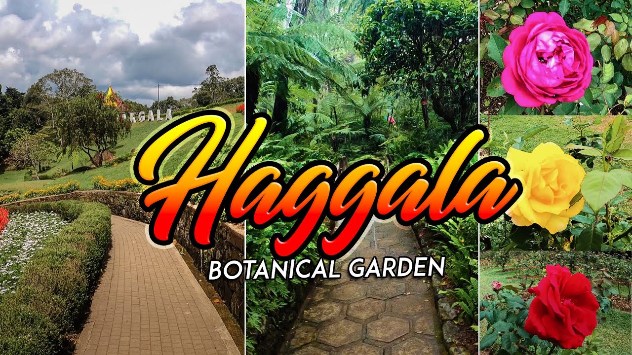 හක්ගල උද්භිත උයන - Hakgala Botanical Garden - YouTube