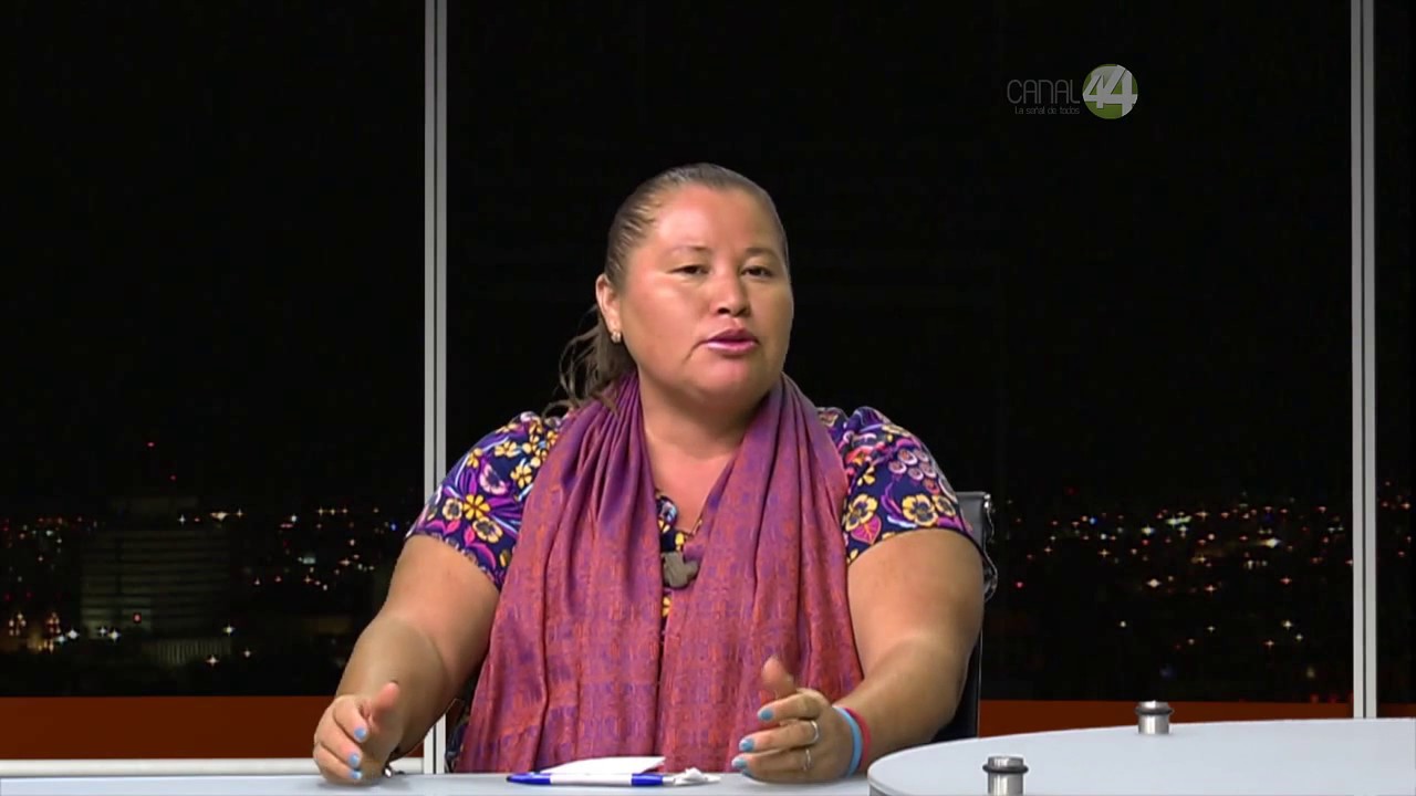 Perspectivas: Norma Romero "Las Patronas"/Enrique Martínez Curiel ...