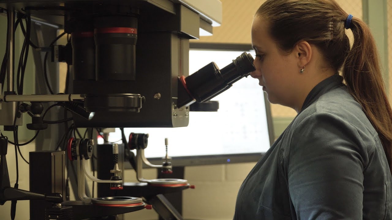 A Day Inside the R.I. Crime Lab - YouTube