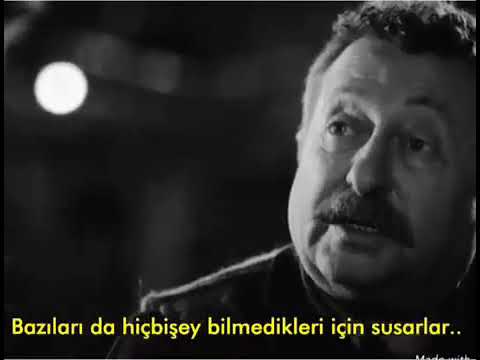 İnstagram Kısa Videolar