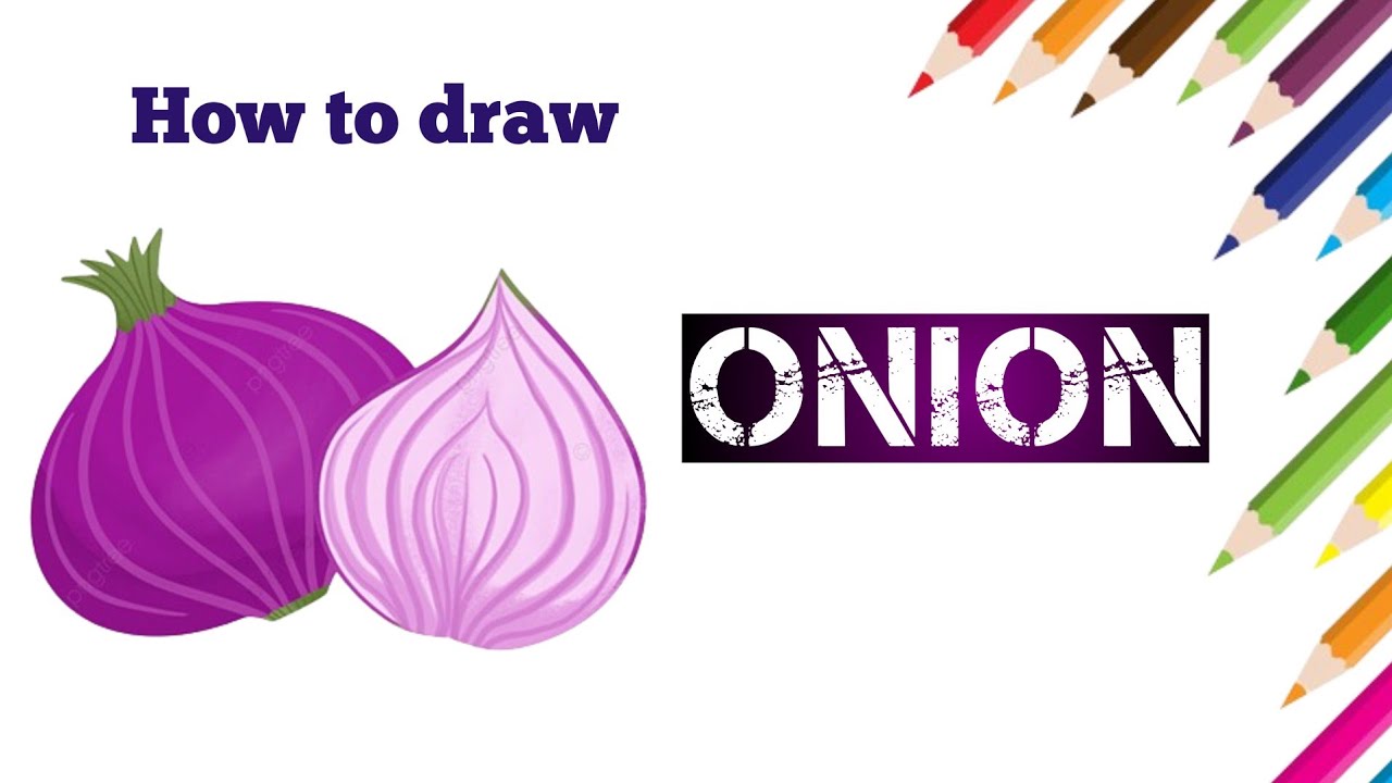How to draw Onion step by step | Onion | Easy drawing for kids | Vegetable drawing and coloring ...