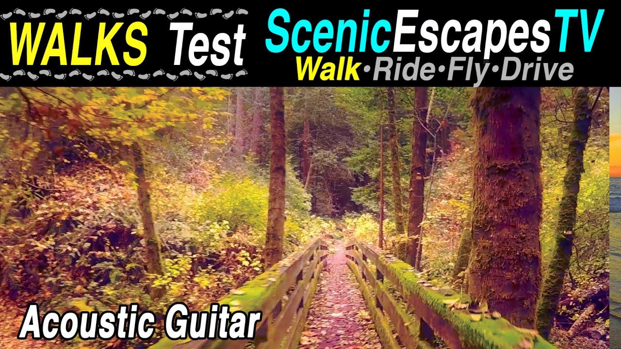 Virtual Walking Tour FOREST WALKS Treadmill Video Walk at home Relax ...