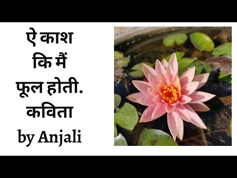 Kaash ki main phool hoti | Hindi Poems | Short poetry | Storytelling ...