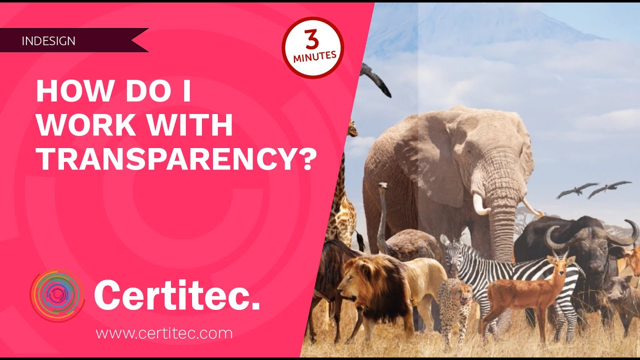 How do I work with transparency in InDesign? - YouTube