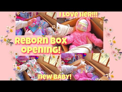 AMAZING REBORN BOX OPENING | Reborn Roleplay | Reborn Day in the Life # ...