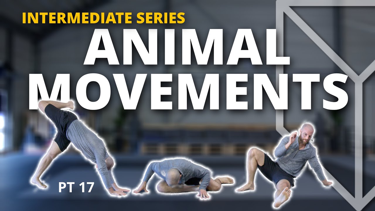 10 Movements in 15 Minutes I Full Body Movement Flow I Intermediate ...