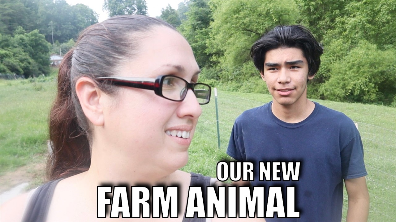 New Homestead Animal // Our Newest Homestead Adventure - YouTube