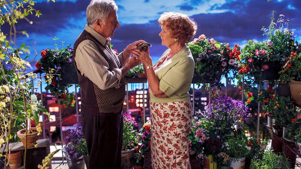 ROALD DAHL'S ESIO TROT - Own it on Digital & DVD - YouTube