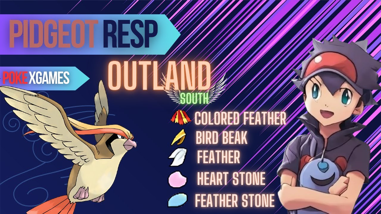 Pidgeot Respawn in Outland South 🪶Flying 150lvl+ | Best Strategies ...