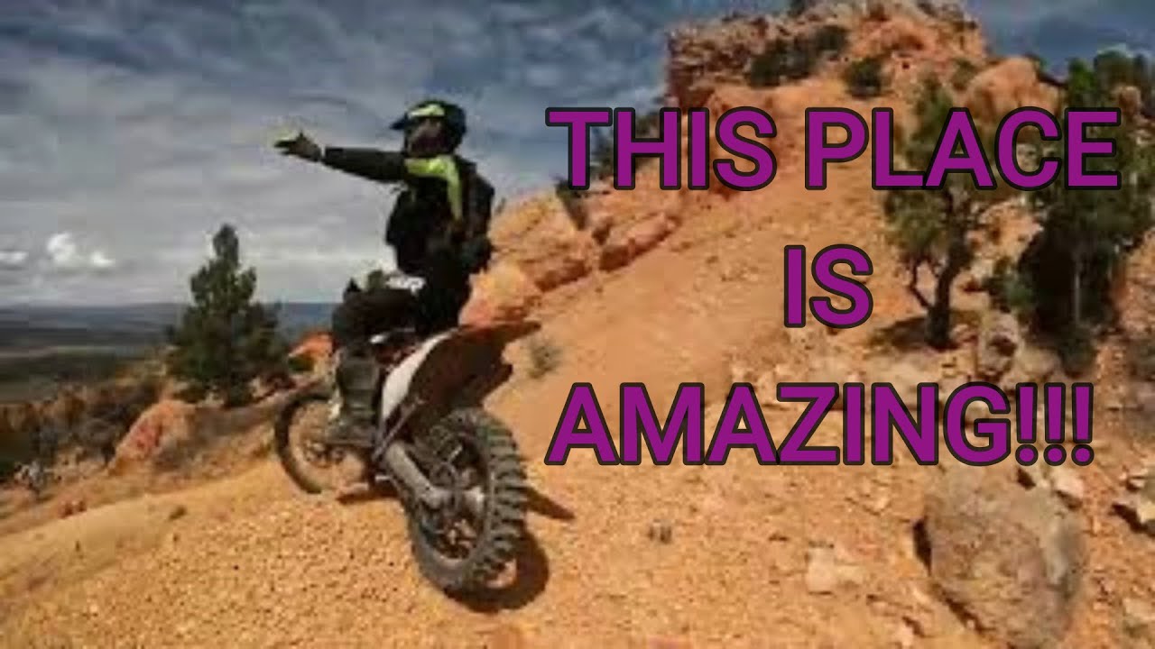 THIS PLACE IS AMAZING!!! - YouTube