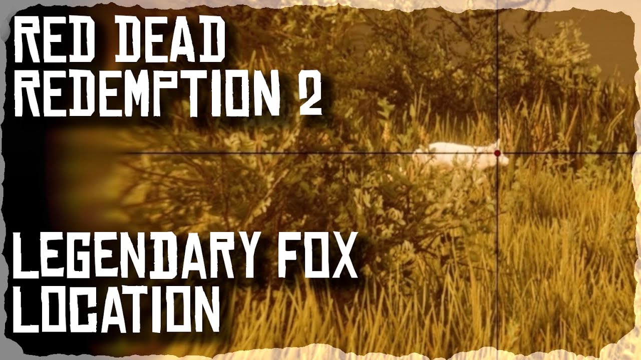 Legendary Fox Location - Red Dead Redemption 2 (RDR2) #rdr2 - YouTube