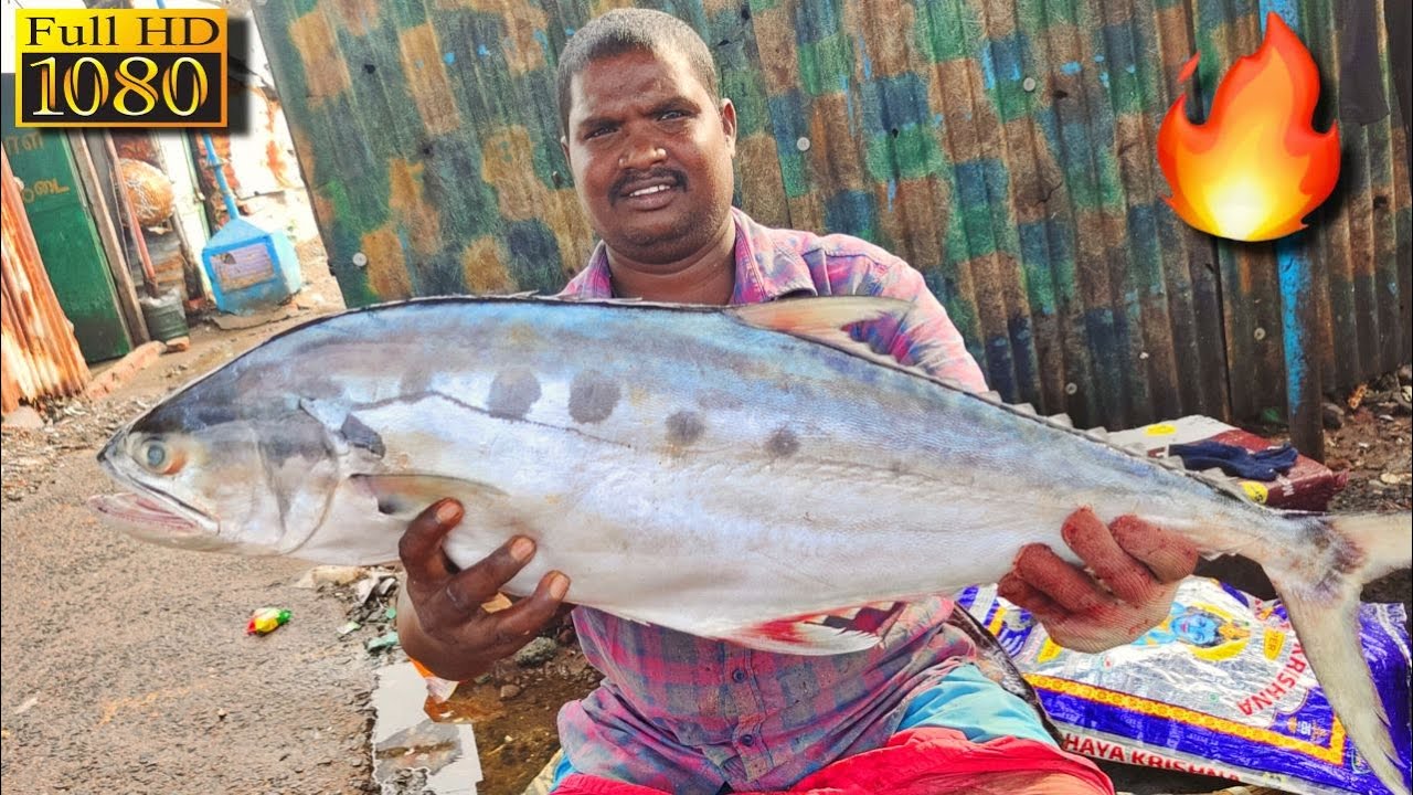KASIMEDU 🔥FISH CUTTING| DOUBLE SPOTTED QUEEN FISH CUTTING🐟 | FISH ...