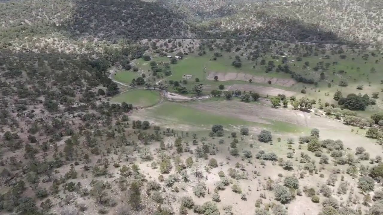 El Zape Durango - YouTube