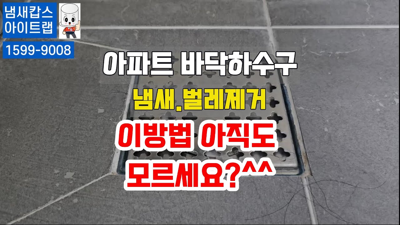 아이트랩 싱크대 하수구 트랩 화장실 냄새 제거 화장실 배수구 벌레 차단 덮개 마개 벌레 차단 및 제거 아이트랩으로 근본원인을