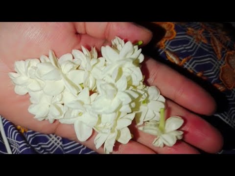 raween flowers موتیا کے پھول || naat by my students || Zunaira's World ...