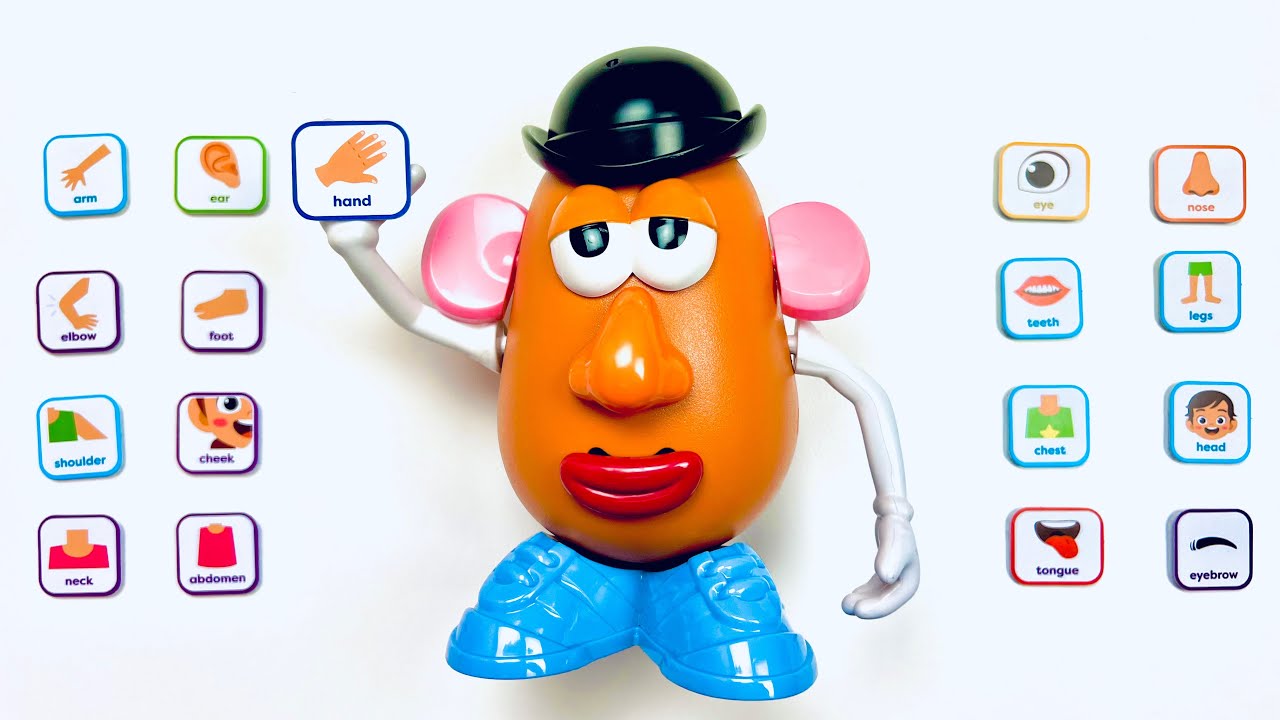 Body Parts For Kids | Educational Video For Toddlers - YouTube