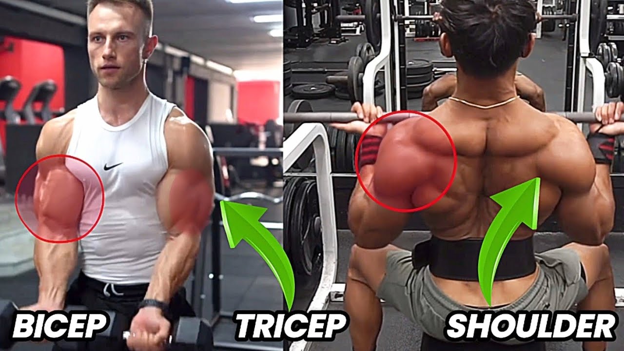 Best Bicep, Tricep And Shoulder Workout To Build Big Muscle | Bicep ...