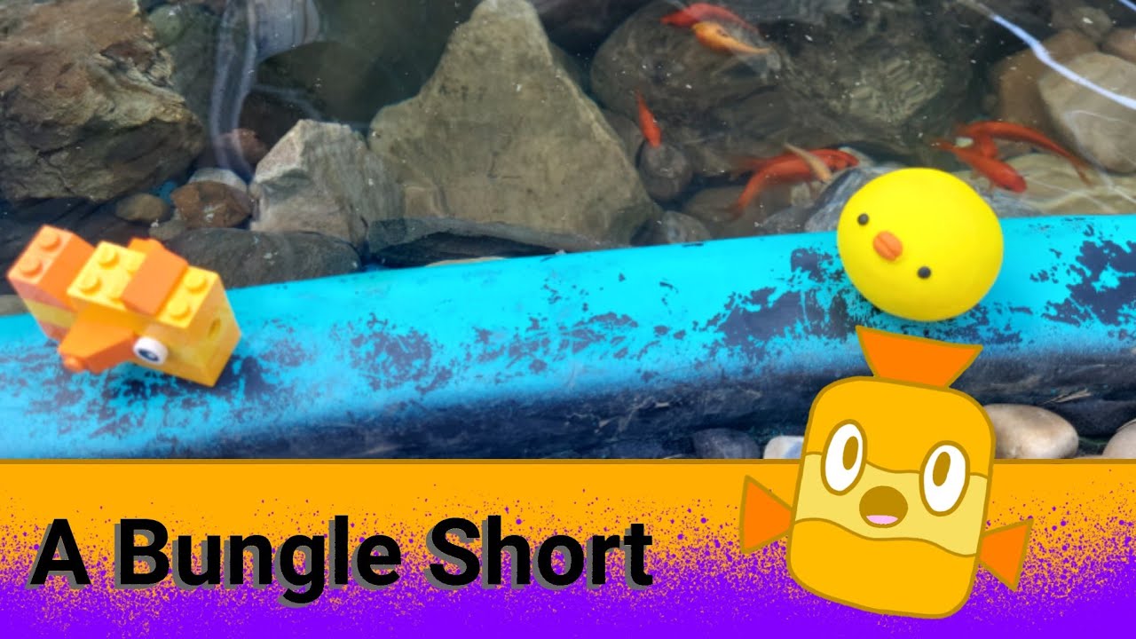 A Bungle Short - Peep Sees The Fish - YouTube