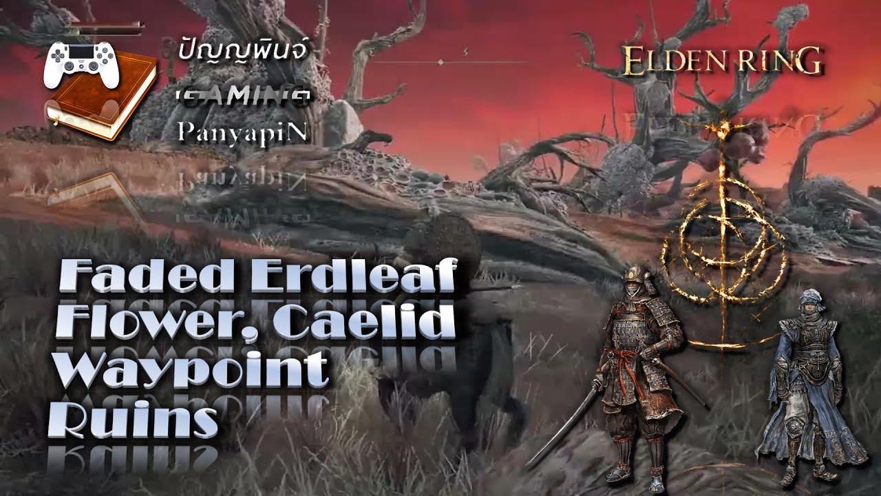 Faded Erdleaf Flower, Caelid Waypoint Ruins | Elden Ring - YouTube
