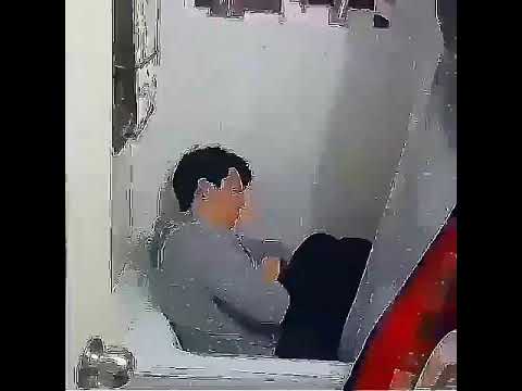 The best fucking video ever seen