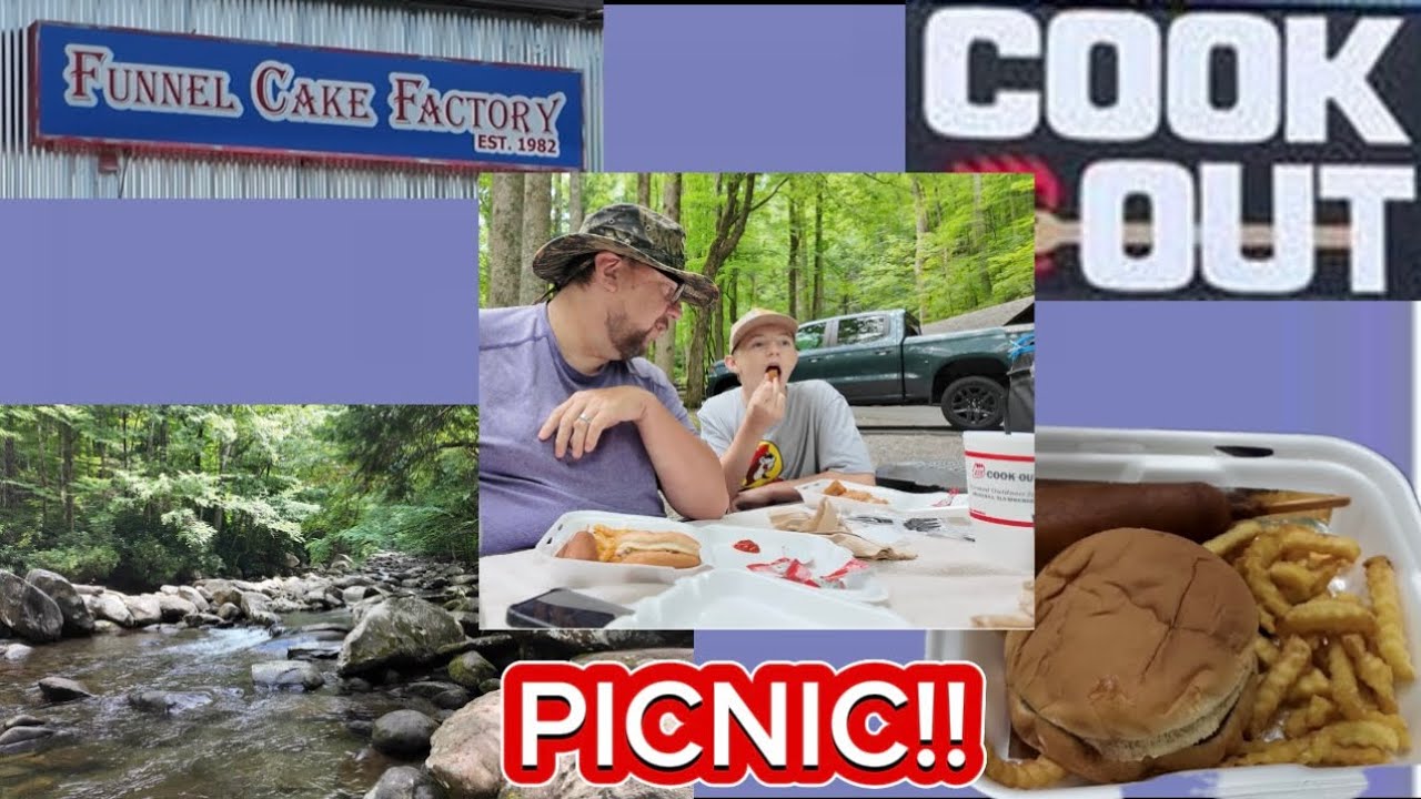 A Picnic in Chimney Top With Cook Out / Funnel Cake Factory ! - YouTube