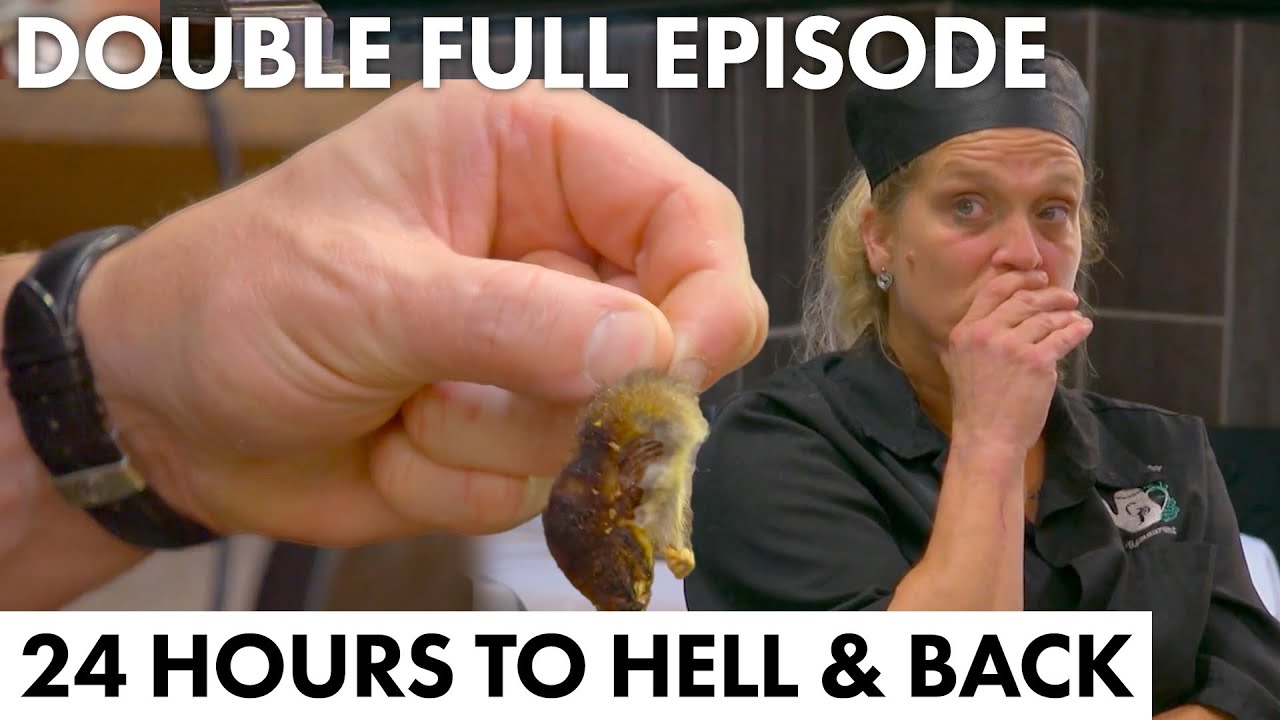 Gordon Finds A Mouse in The Toaster! | 24 Hours To Hell & Back - YouTube