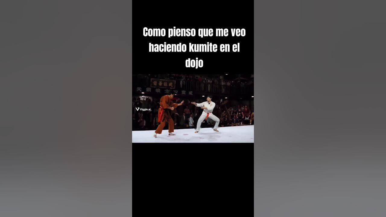 Como creo que me veo haciendo combate en el dojo 🤪 #humor #risas #meme ...