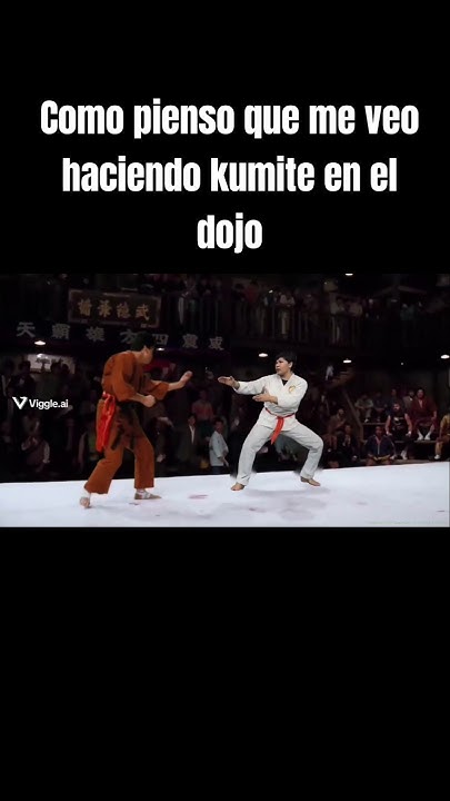Como creo que me veo haciendo combate en el dojo 🤪 #humor #risas #meme ...