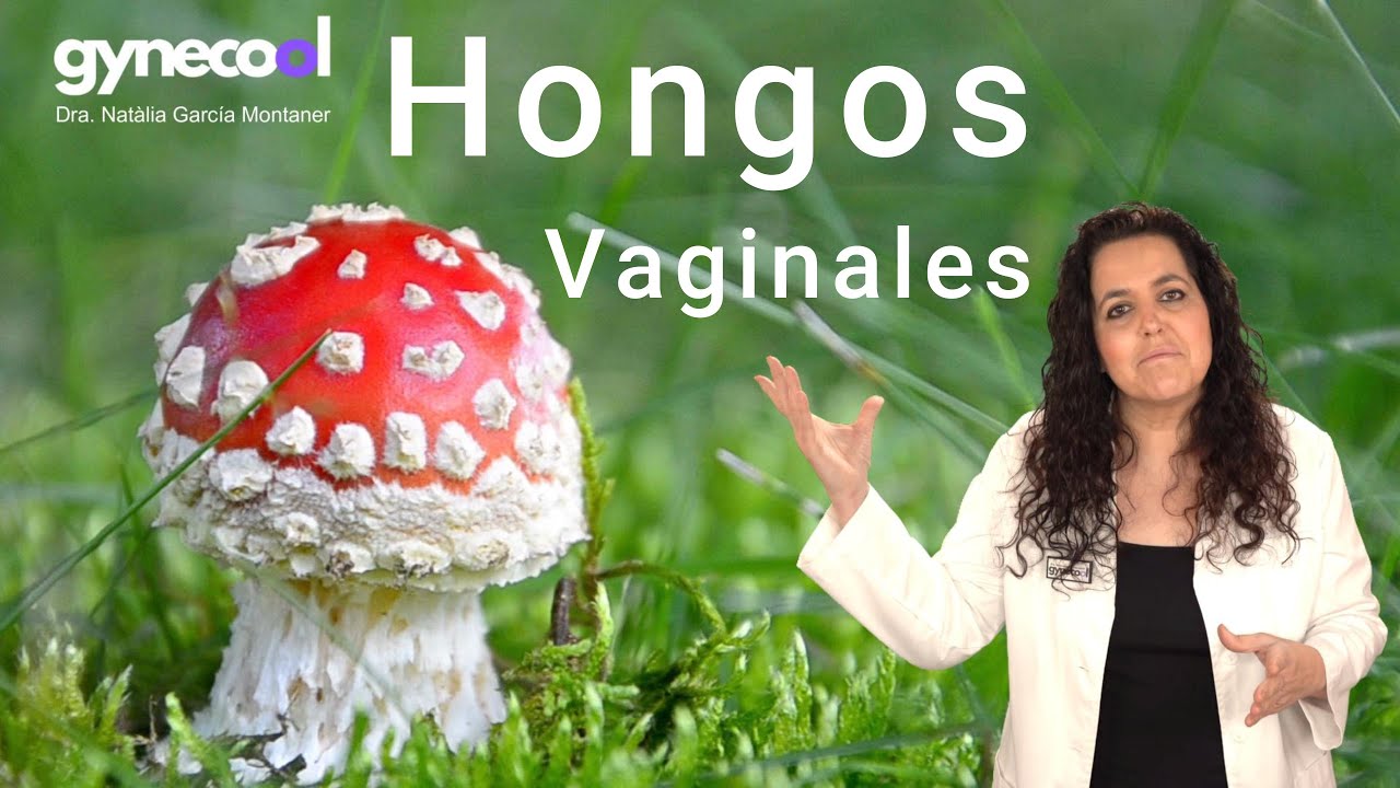 Hongos Vaginales y Candidiasis: Síntomas, Tratamiento y Prevención ...