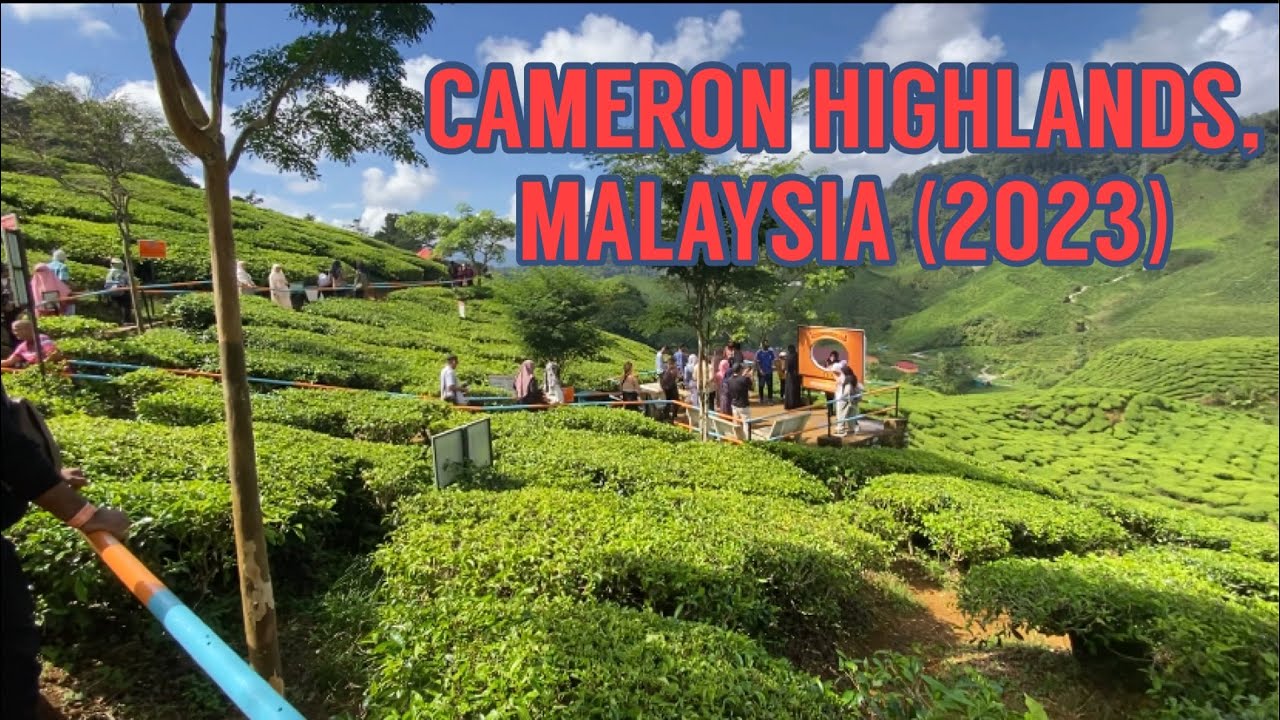 TRIP BALIK HARI !!! Ke Cameron Highlands, Malaysia | Vlog - YouTube