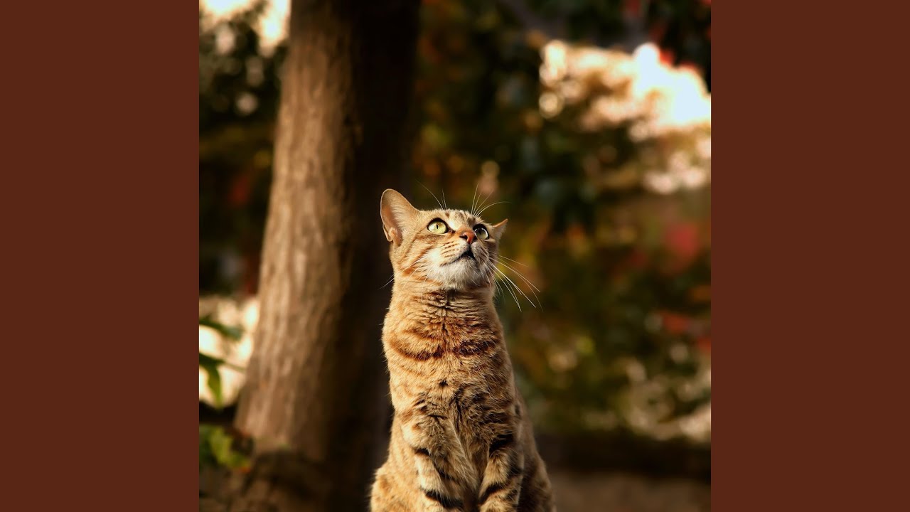 Liam Poopy Pants Poop Poo Woohoo - YouTube