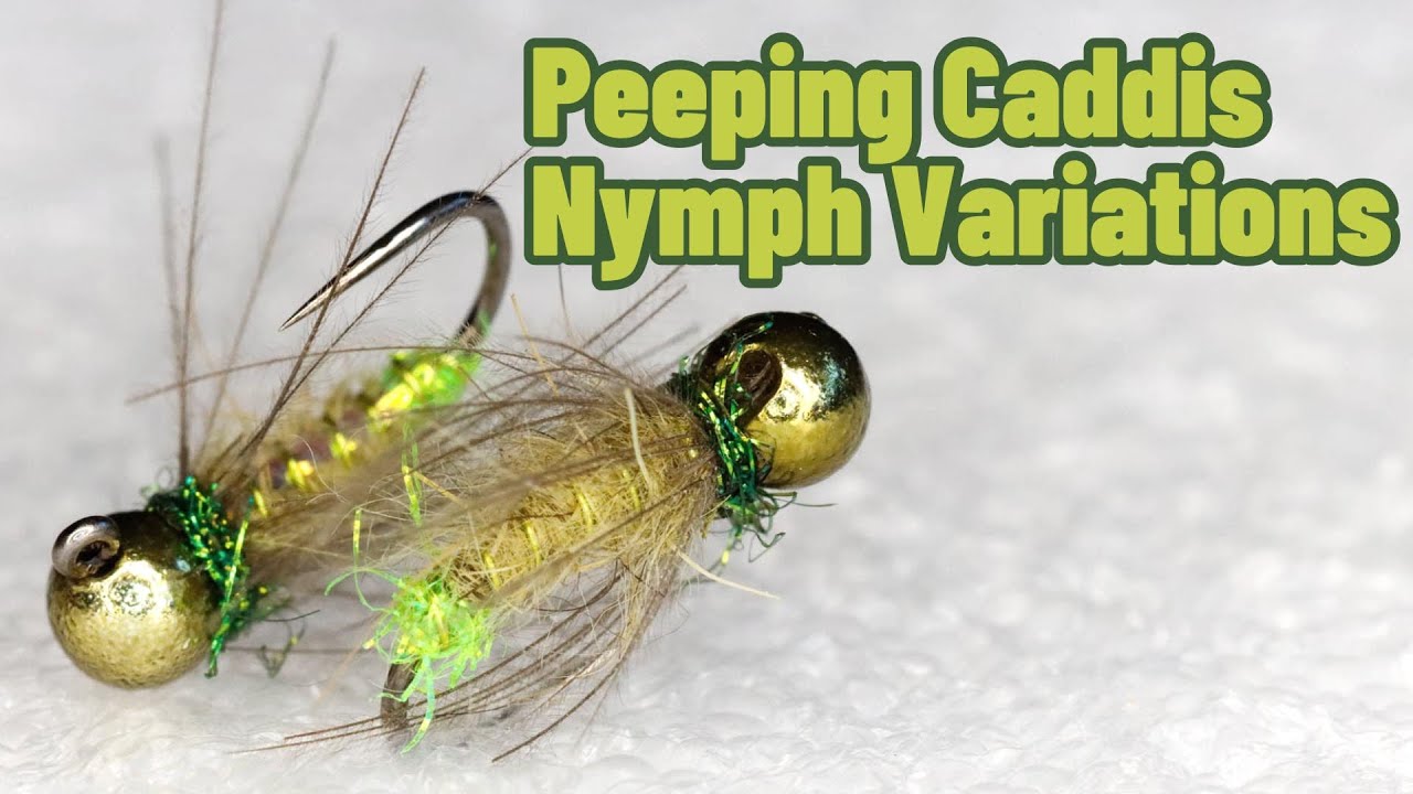 Peeping Caddis Nymph - Variations || flytying - YouTube